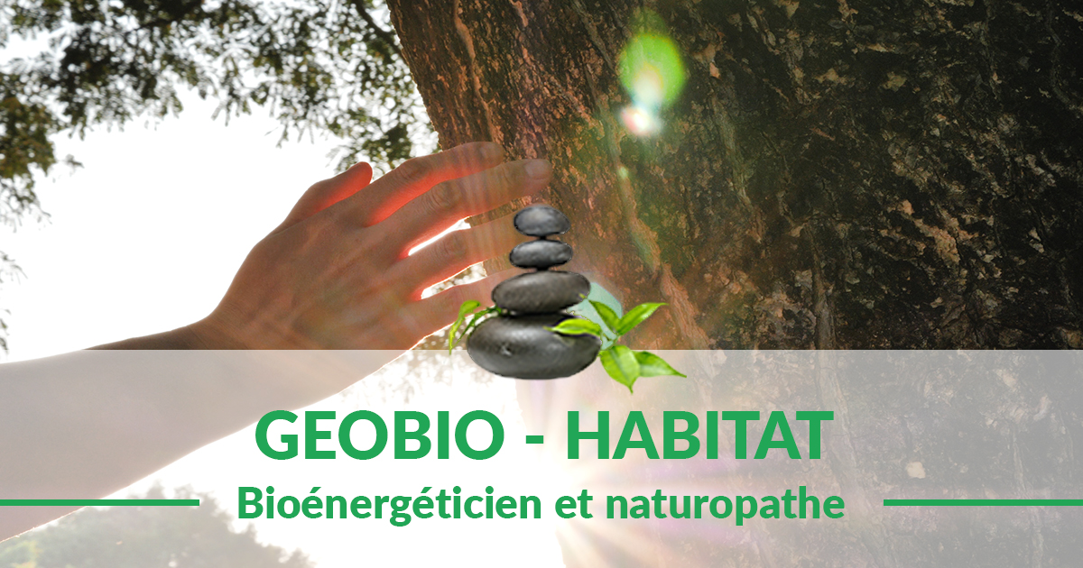 Géobio - Habitat : Géobiologie : Le bien être dans votre maison